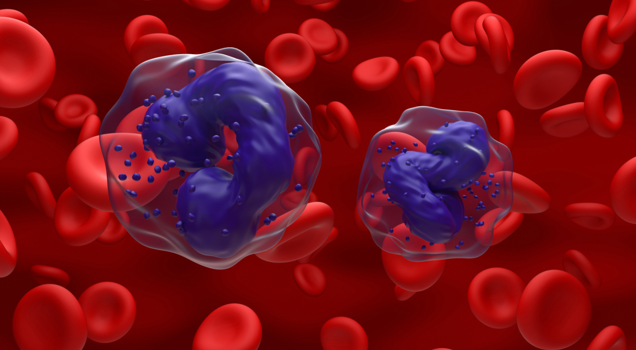 Blood Cancer United Professional Education